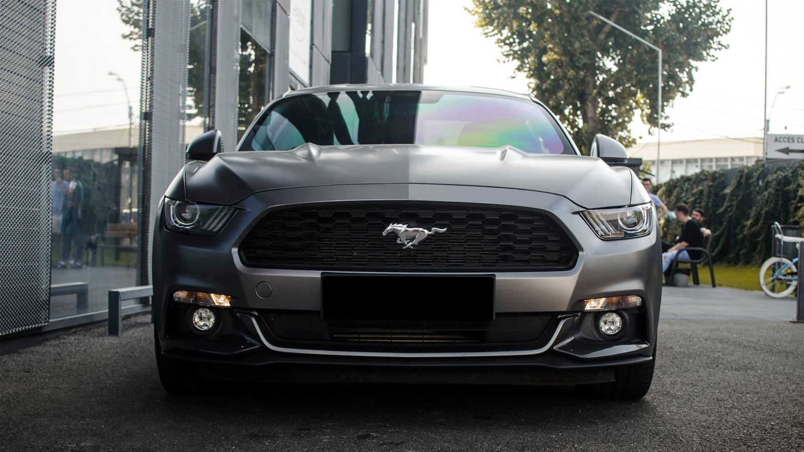 Ford Mustang Satin Pearl Nero Wrap - DCM Design
